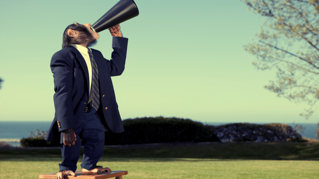 What IT’s All About – Martin Ballard